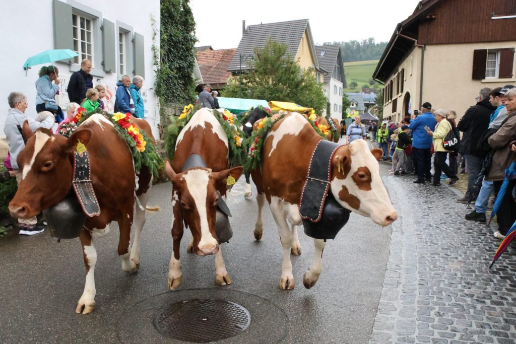Trotz schlechtem Wetter: 20’000 Besucher feierten in Zunzgen | Baseljetzt